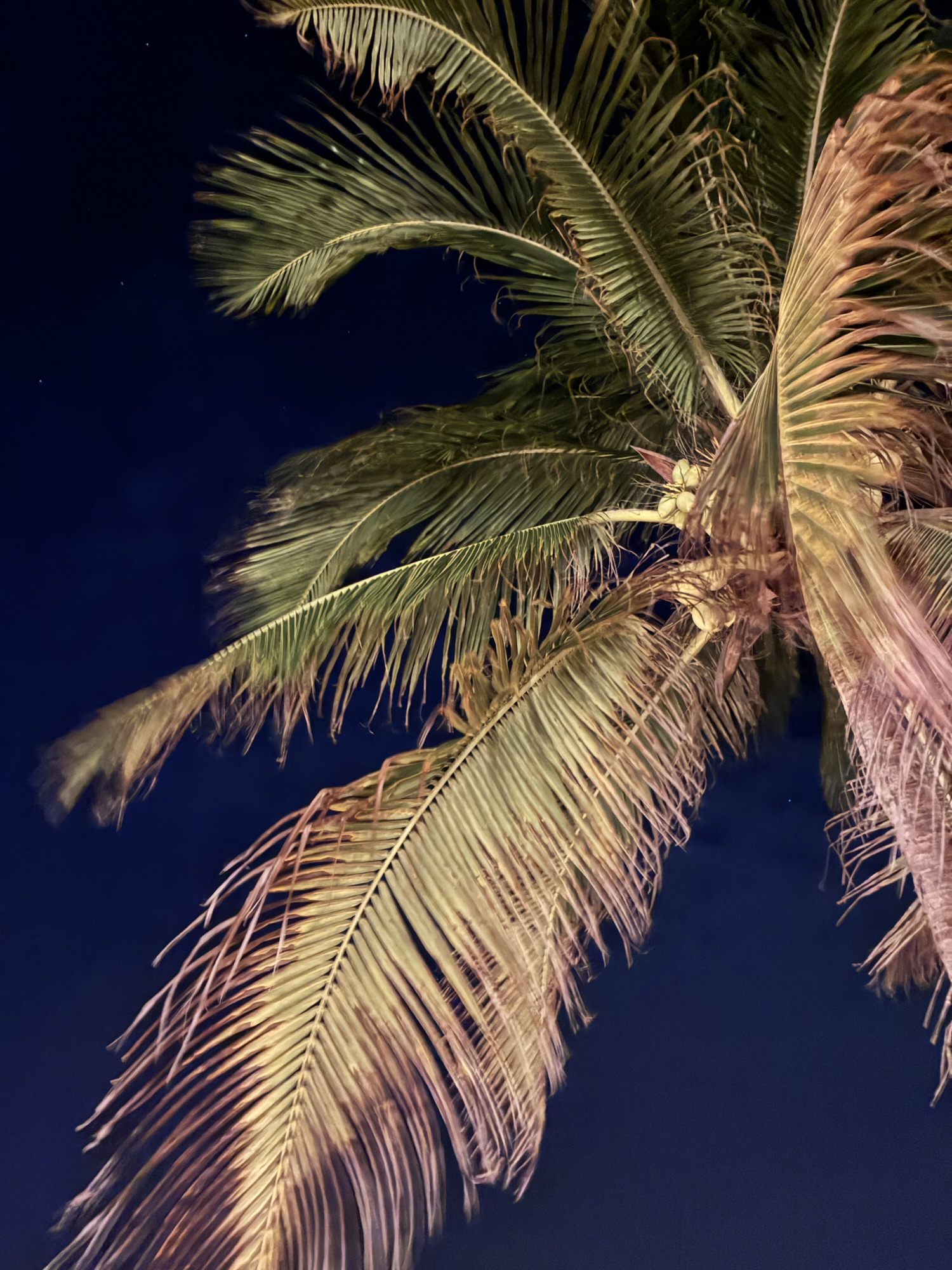 T-Minus 34 Weeks - Our vacation: the good, the bad, and the ugly - Week ...